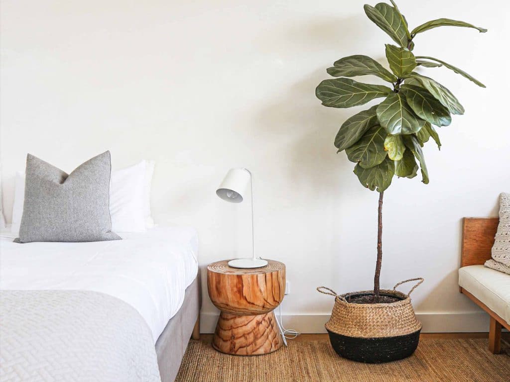 Moving In - Decor Tips for your First Home | Norman USA