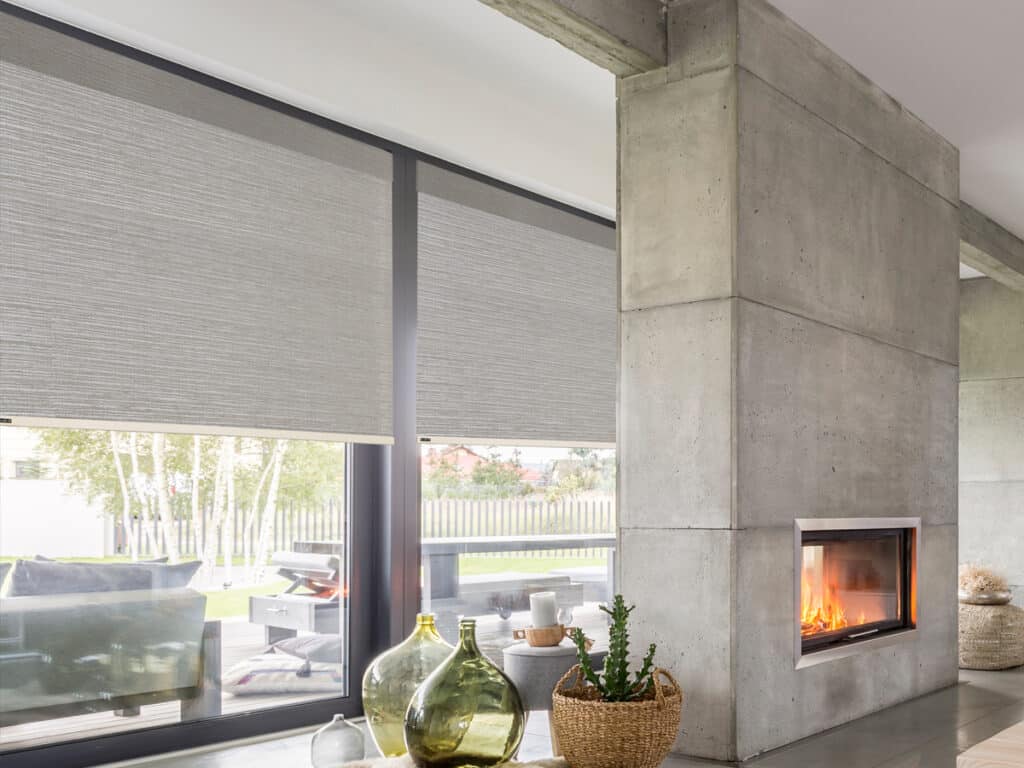 Door window shade store