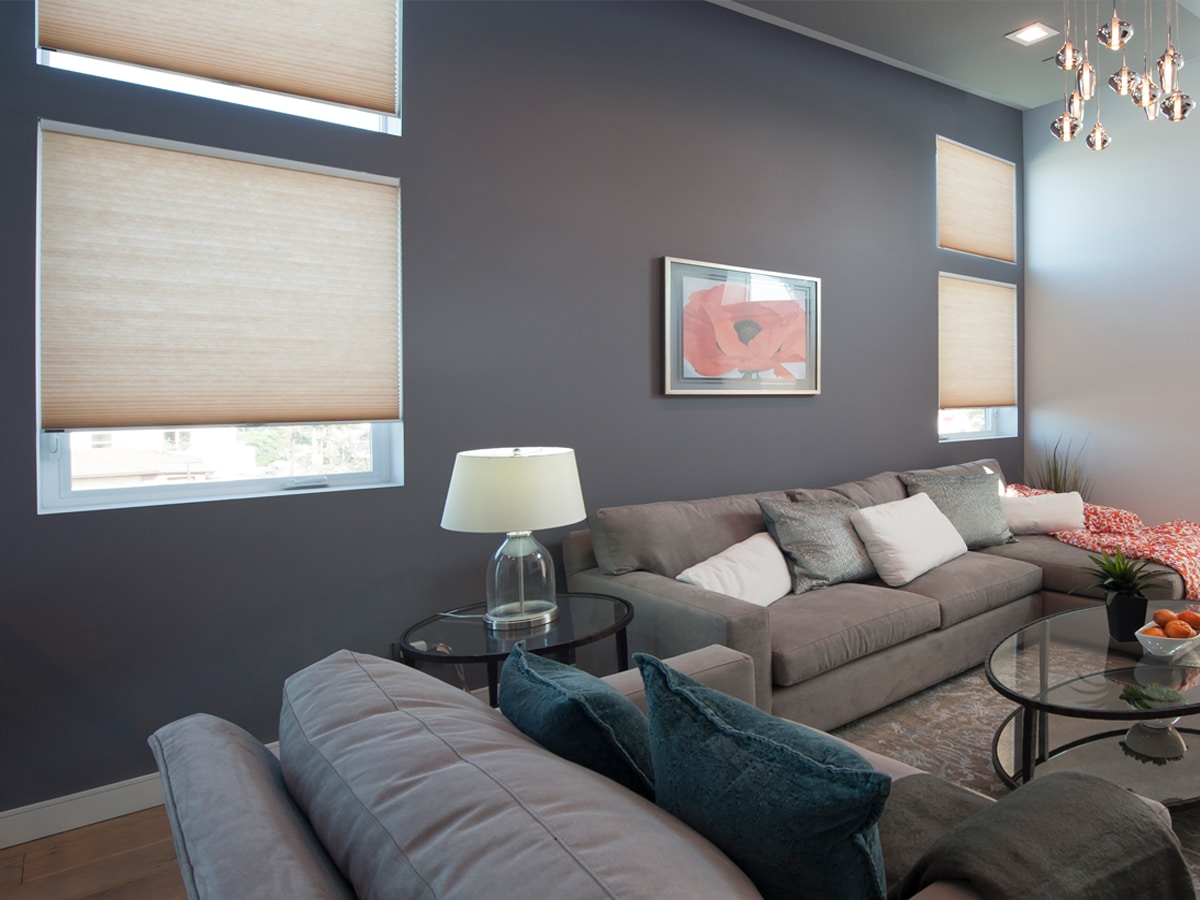 6 Transom Window Covering Ideas | Norman Canada